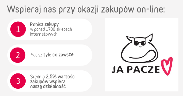 "Ja Pacze Sercem" Fundacja Pomocy Kotom Niewidomym - wspieraj nas na ...